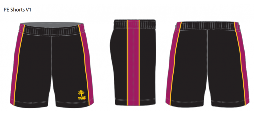 PE Shorts - Pencoed