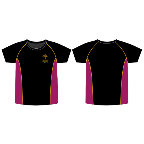 Unisex PE T Shirt - Pencoed Comprehensive